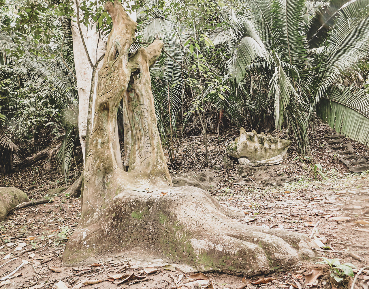 Tierra Tropical Sa de Cv
