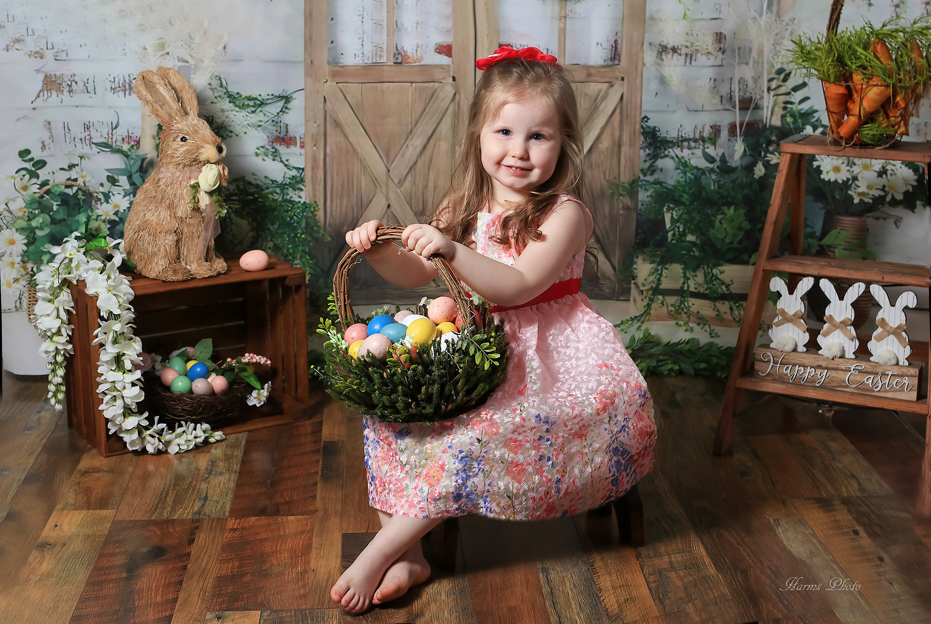 Kimberly Harms Photography