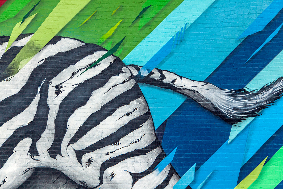 Sike Style Industries - Angry Zebra 2.0