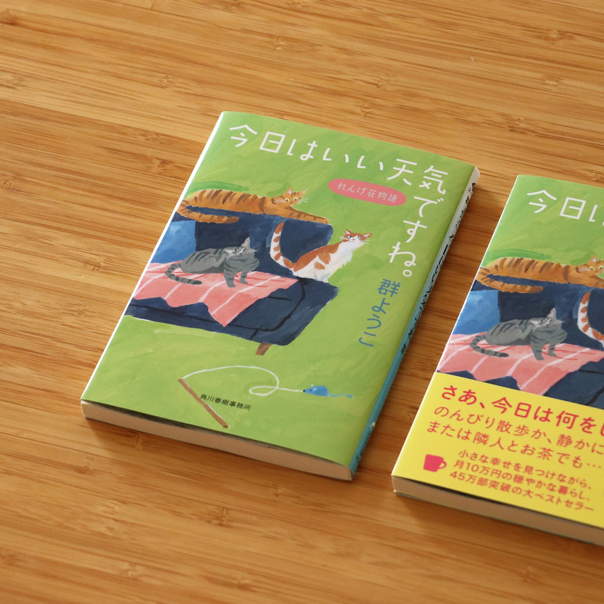 Koki Tsubomoto 坪本幸樹 - Book Cover