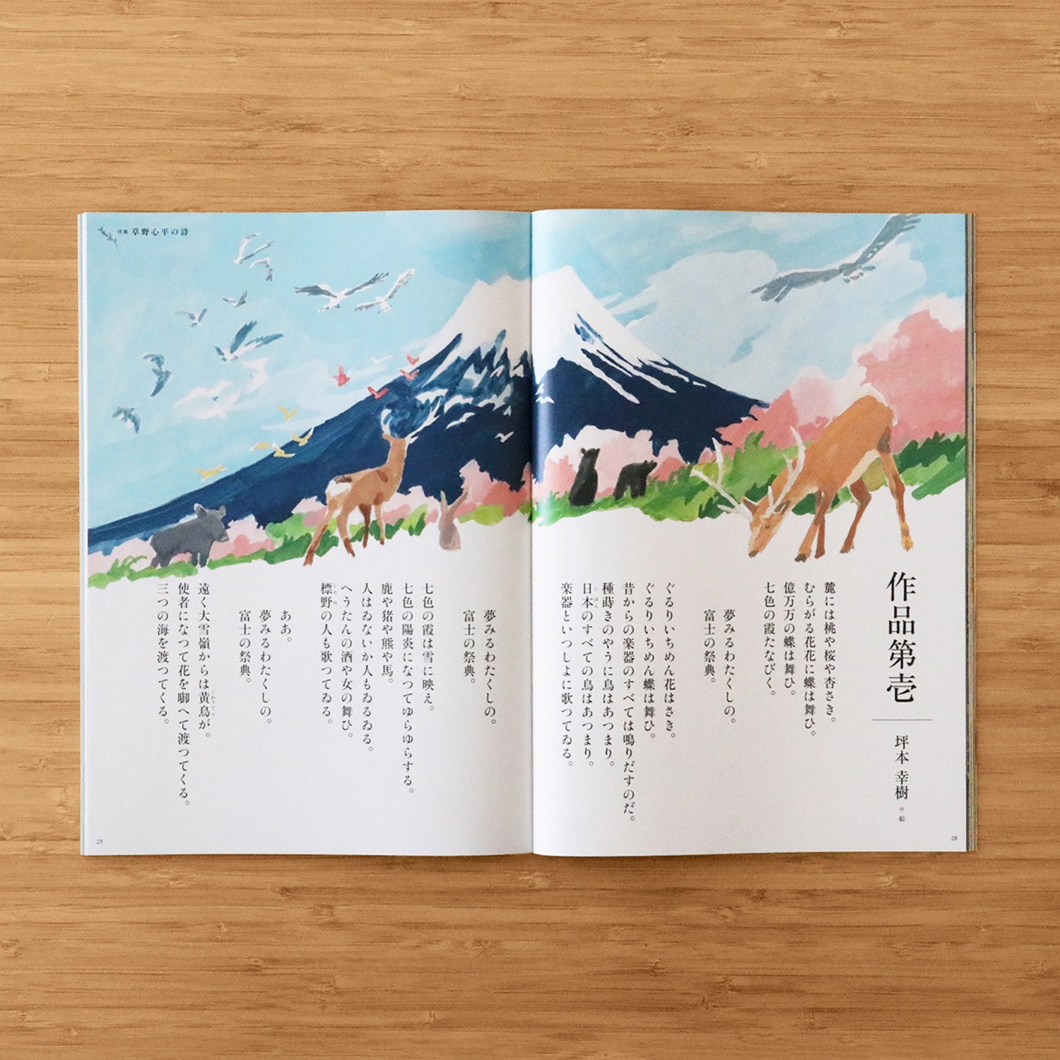 Koki Tsubomoto 坪本幸樹 - Magazine