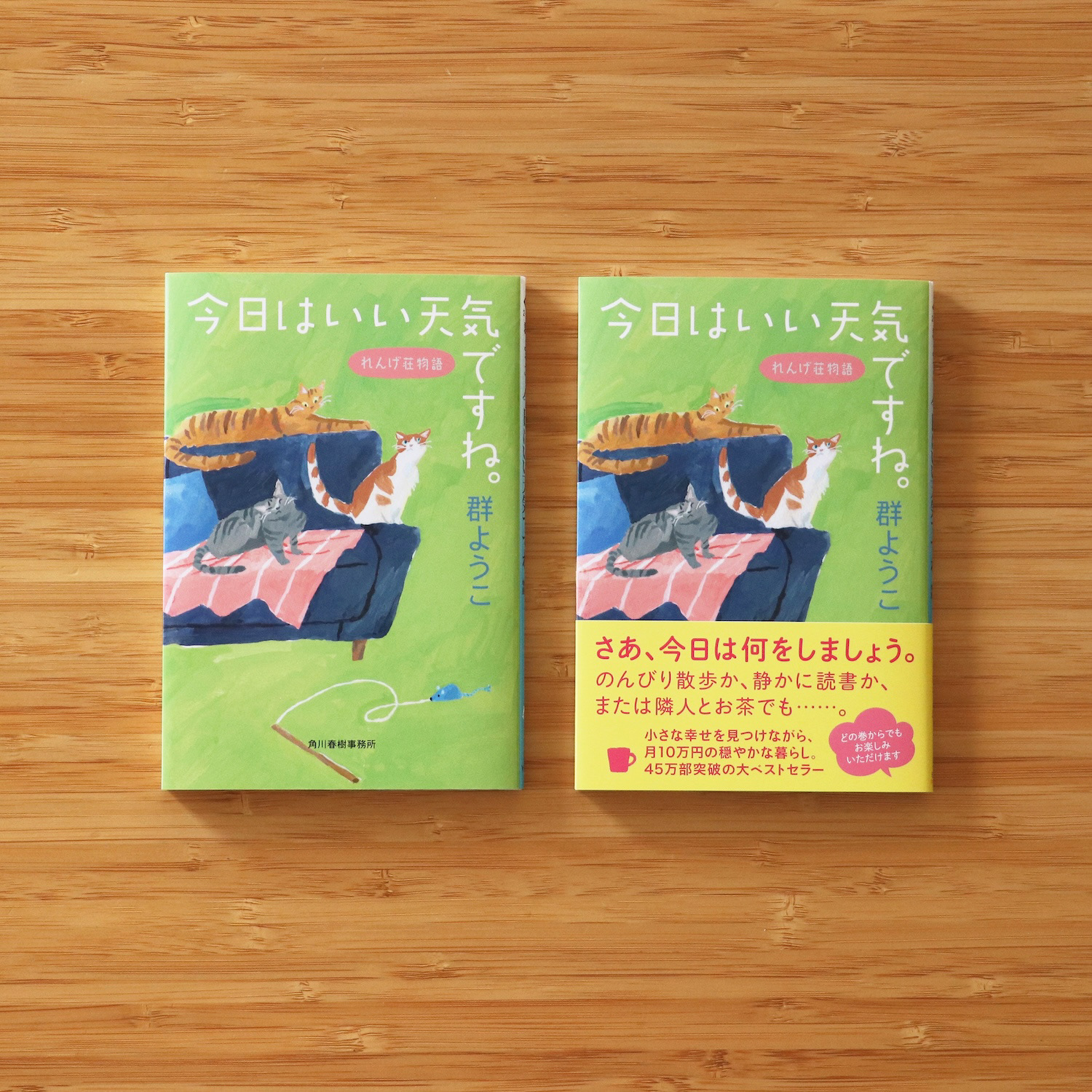 Koki Tsubomoto 坪本幸樹 - Book Cover