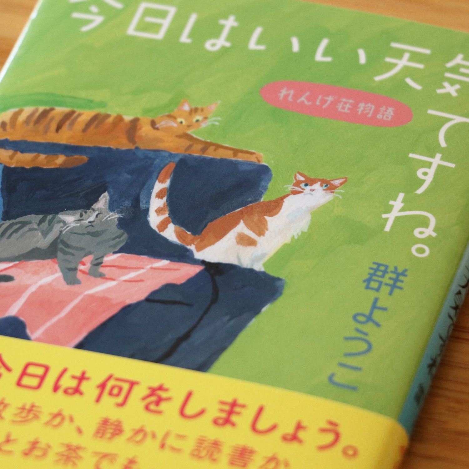 Koki Tsubomoto 坪本幸樹 - Book Cover