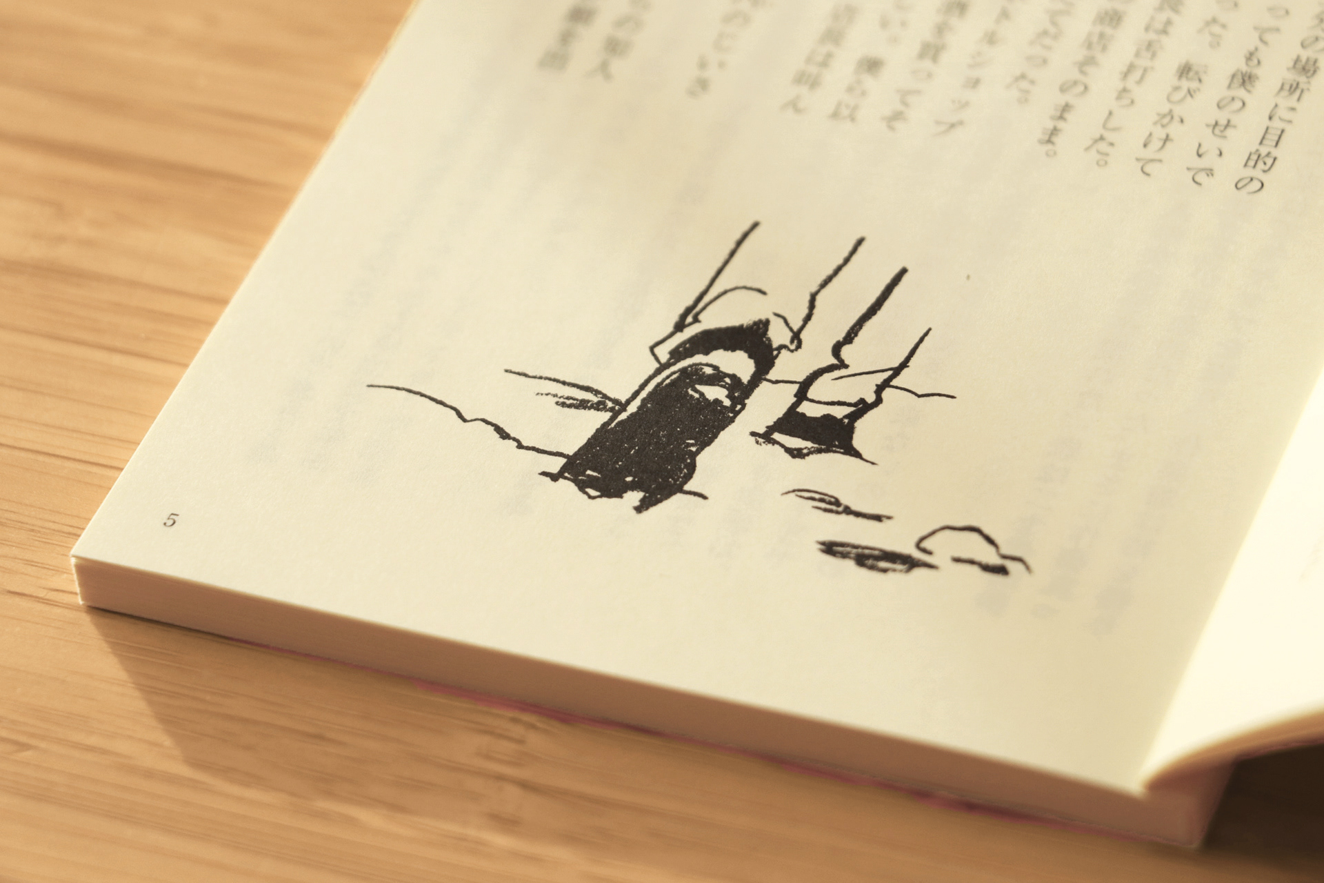 Koki Tsubomoto 坪本幸樹 - Novel "At a Crossroad"