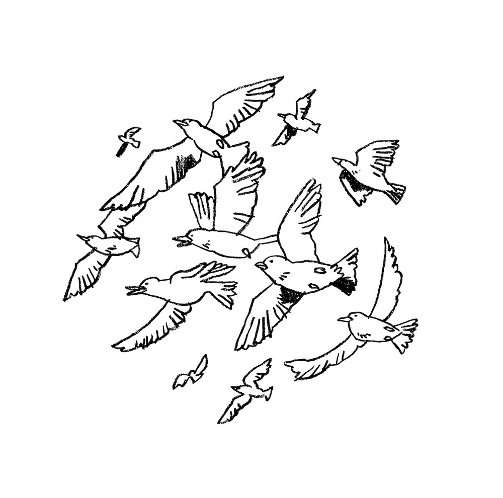 Koki Tsubomoto 坪本幸樹 - Profile