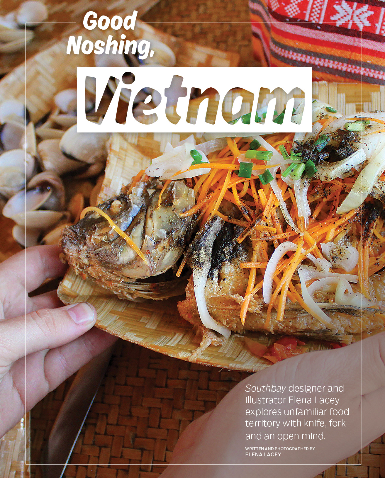 ajay peckham design portfolio - Southbay Magazine