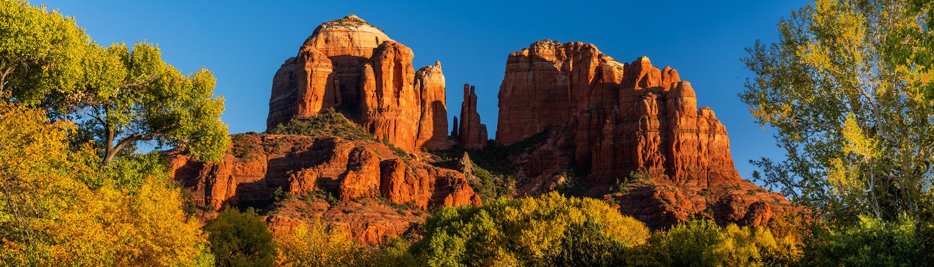 Sheila Reeves Photography - Arizona