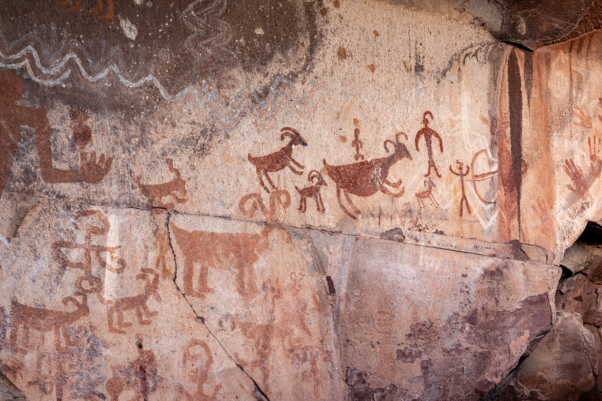 Sheila Reeves Photography - Arizona