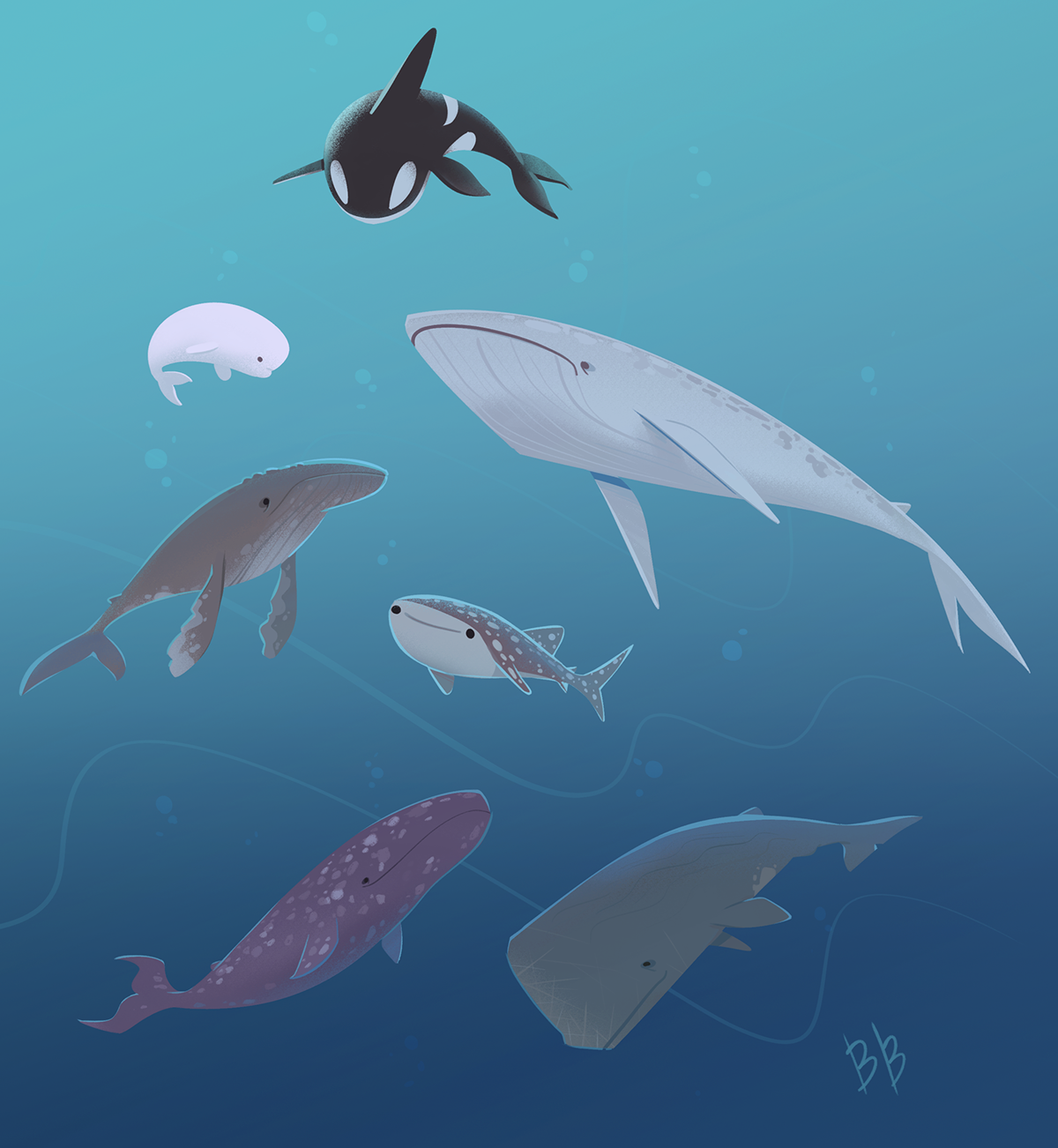 Beau Beavers - Illustrations