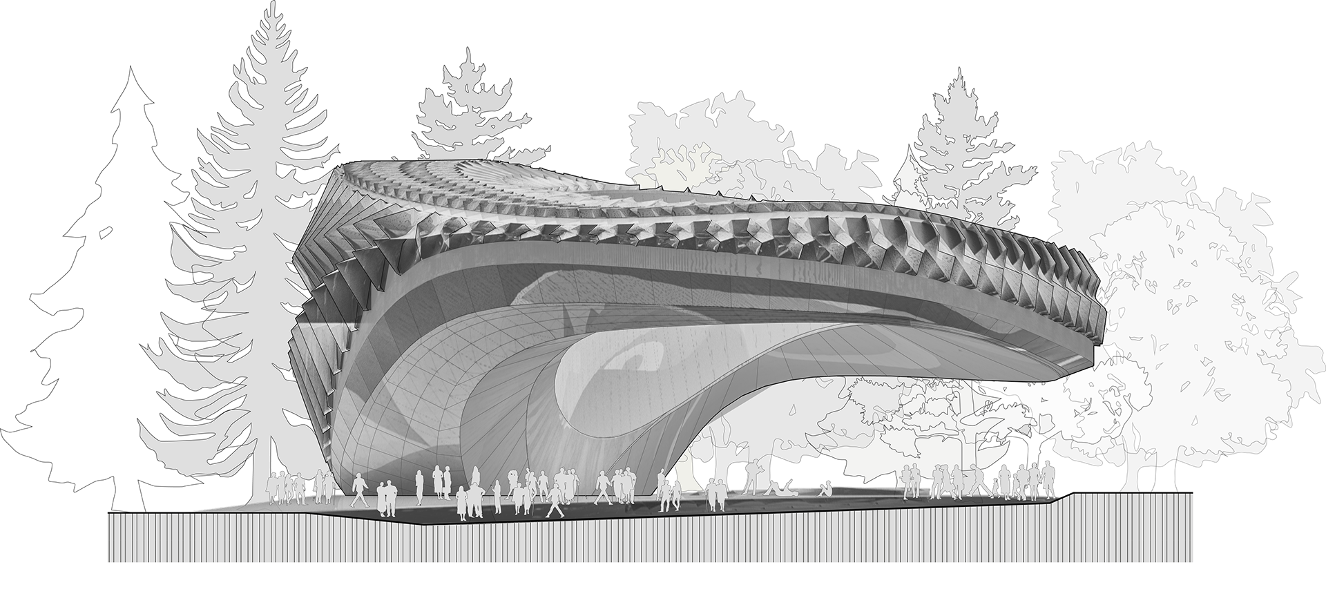 Lenka Petrakova - MOSF