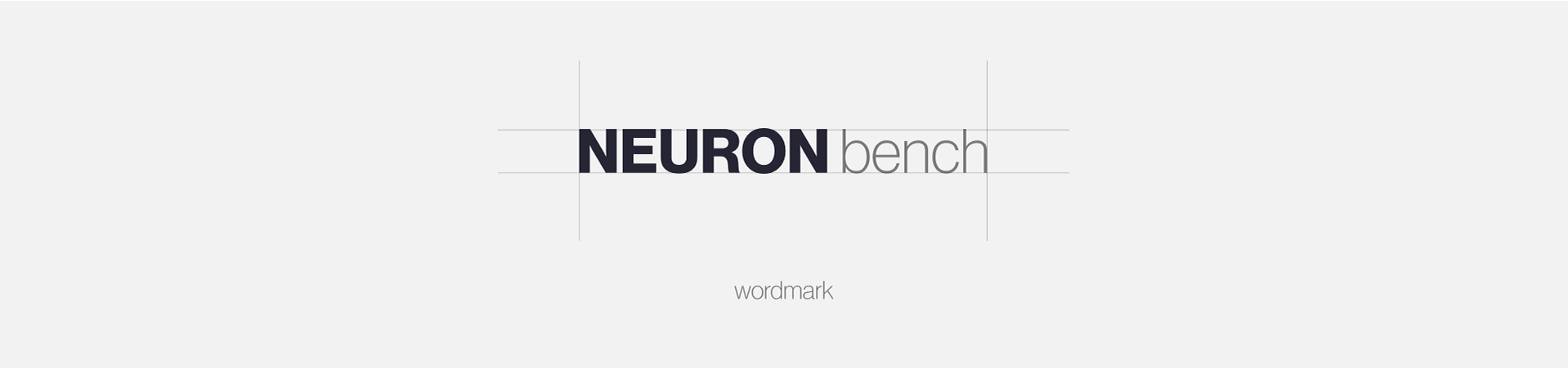 svetla bardarova - NEURONbench