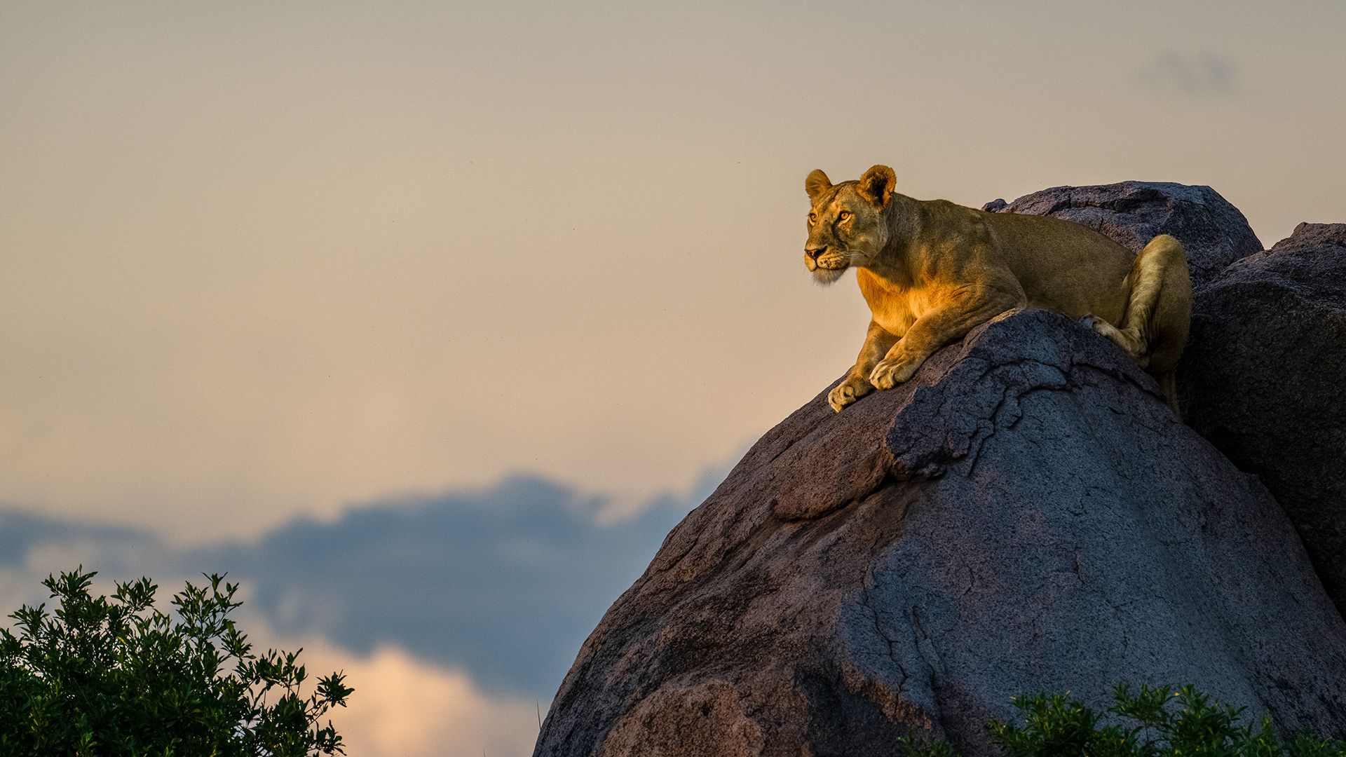 Kathy Phipps - Tanzania