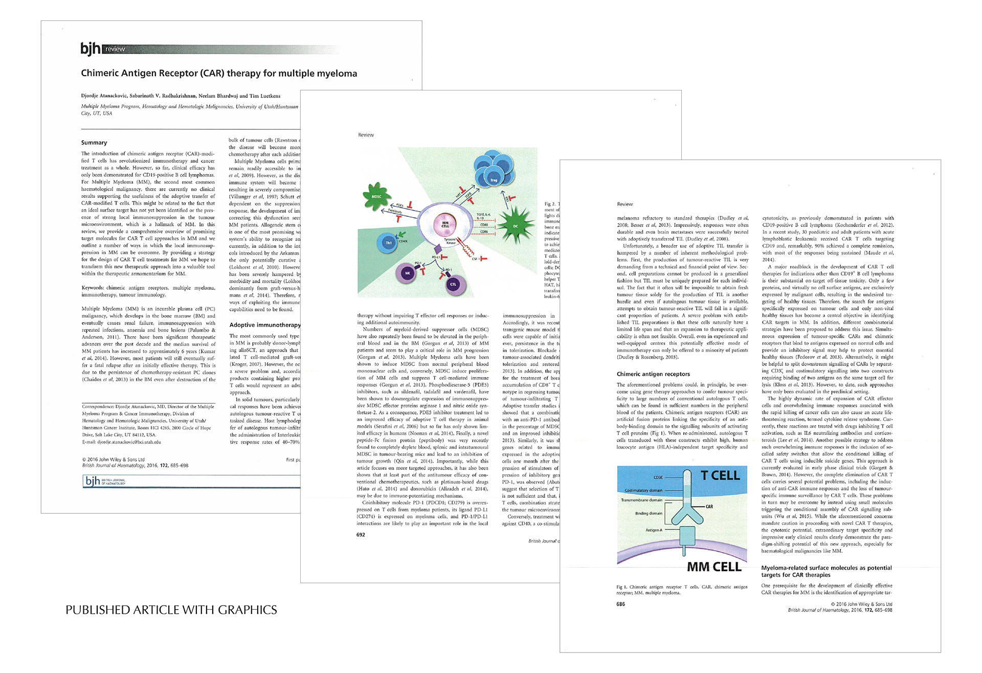 Courtney Colvin - Medical Graphics