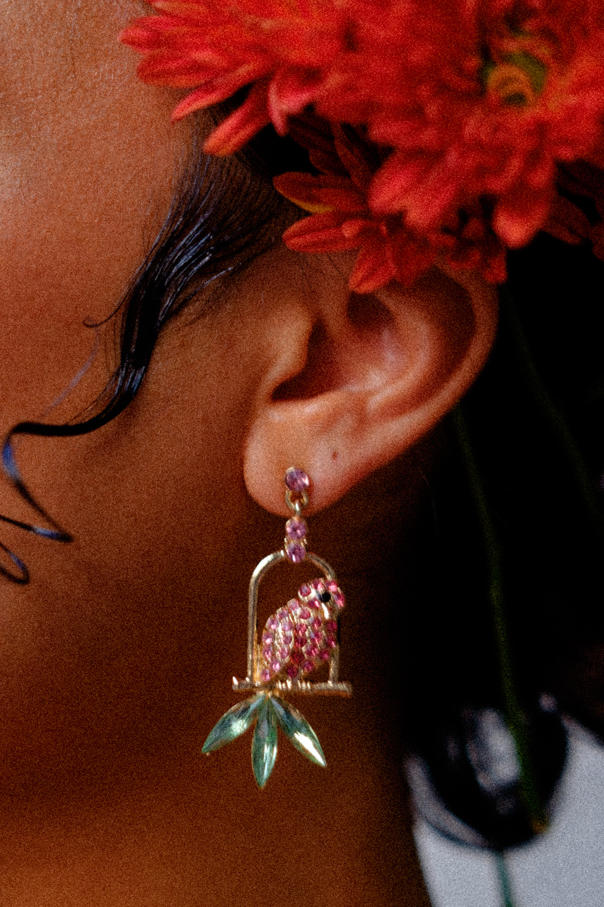 Tariro Studio - Photography