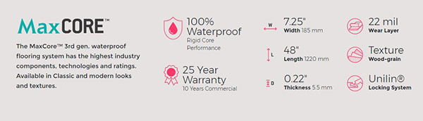 Spotlight Design - Lucida - Website