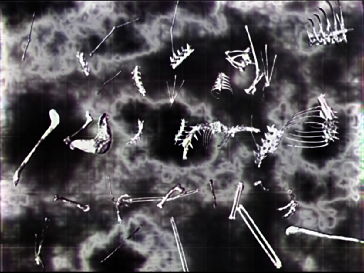 Jason Galea - KGLW - Dragon - Music Video