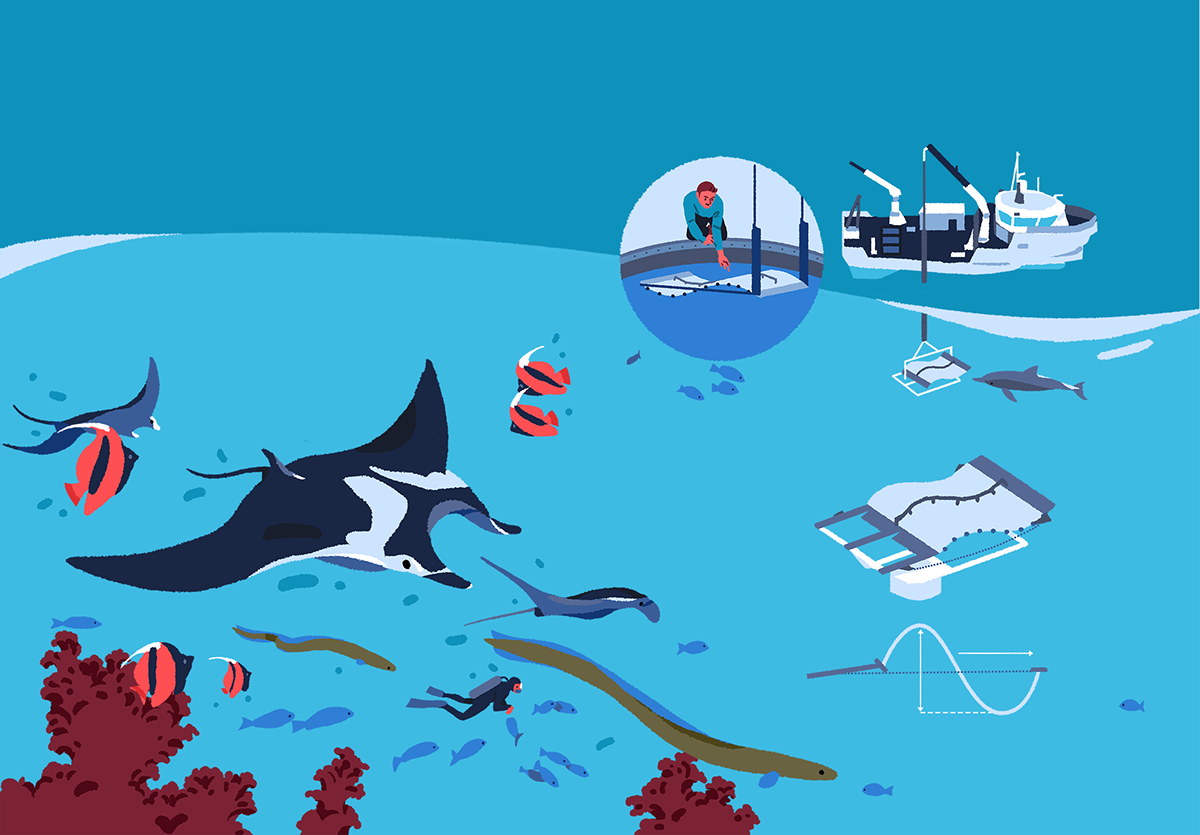 Sua Balac Illustration - Bio-inspirés - an illustrated book about ...