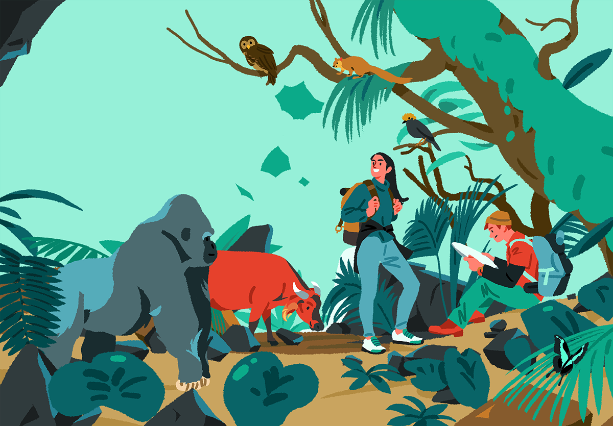 Sua Balac Illustration - Bio-inspirés - an illustrated book about ...