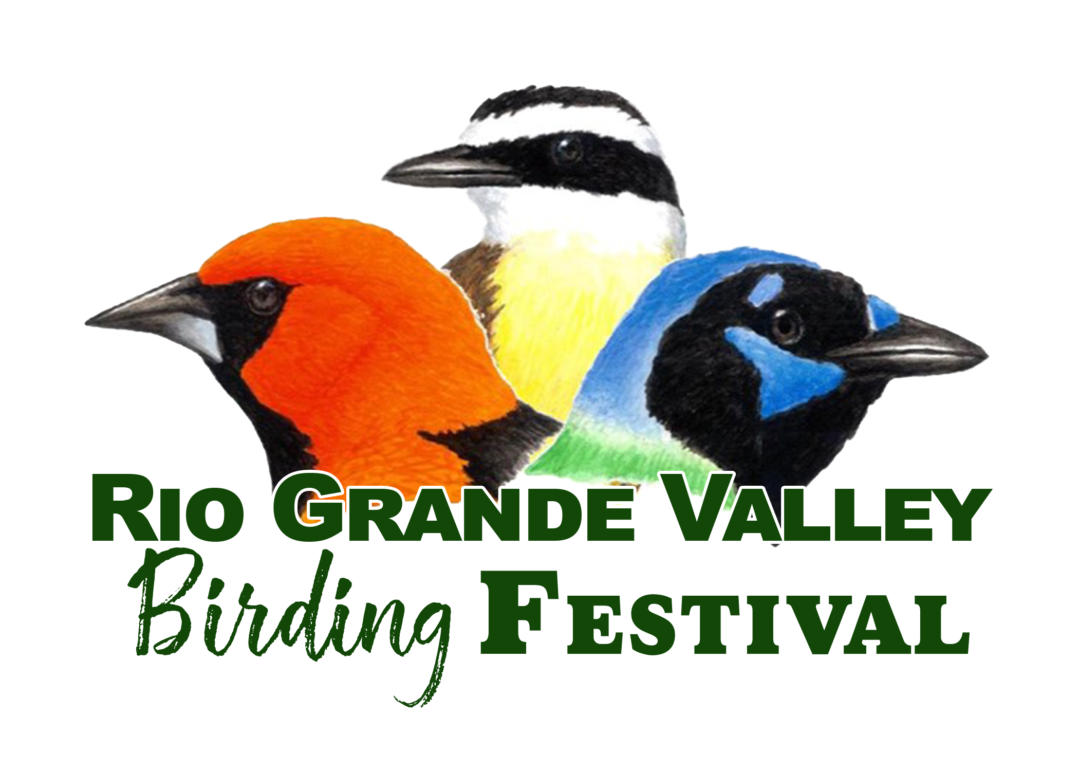 Rio Grande Valley Birding Festival - ABOUT US