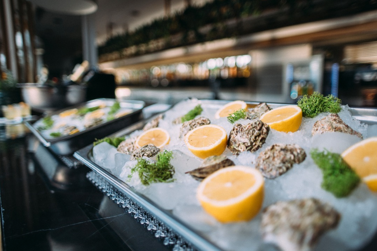 The Canvas House - Bar Mare Menu