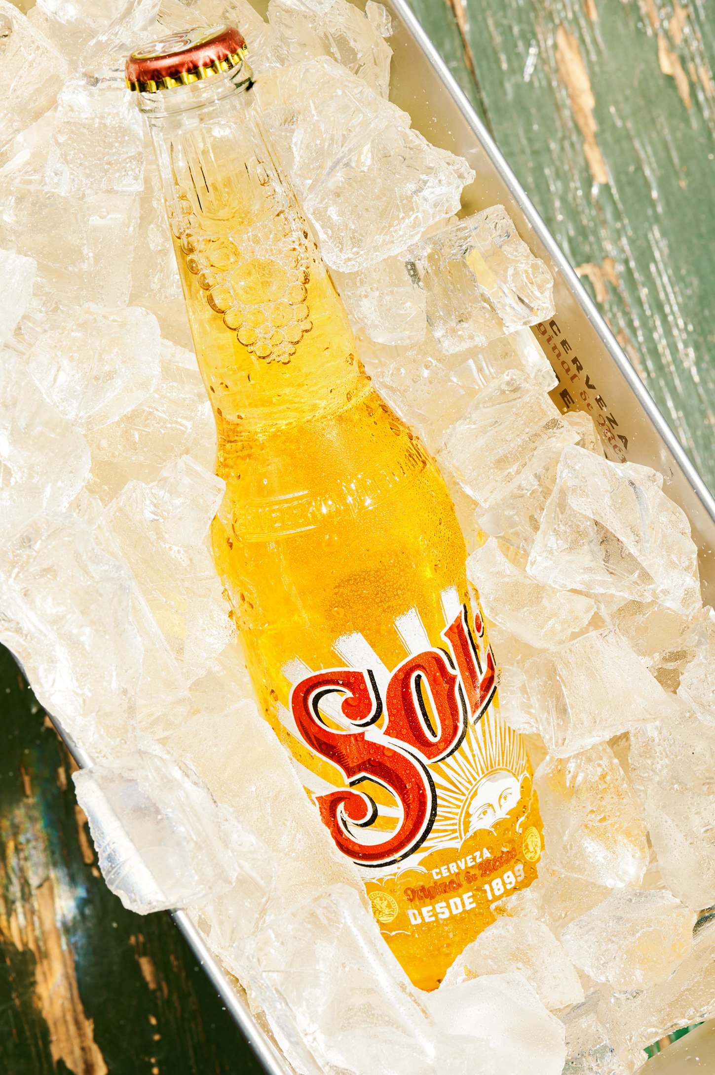 Frances Marais - SOL Beer