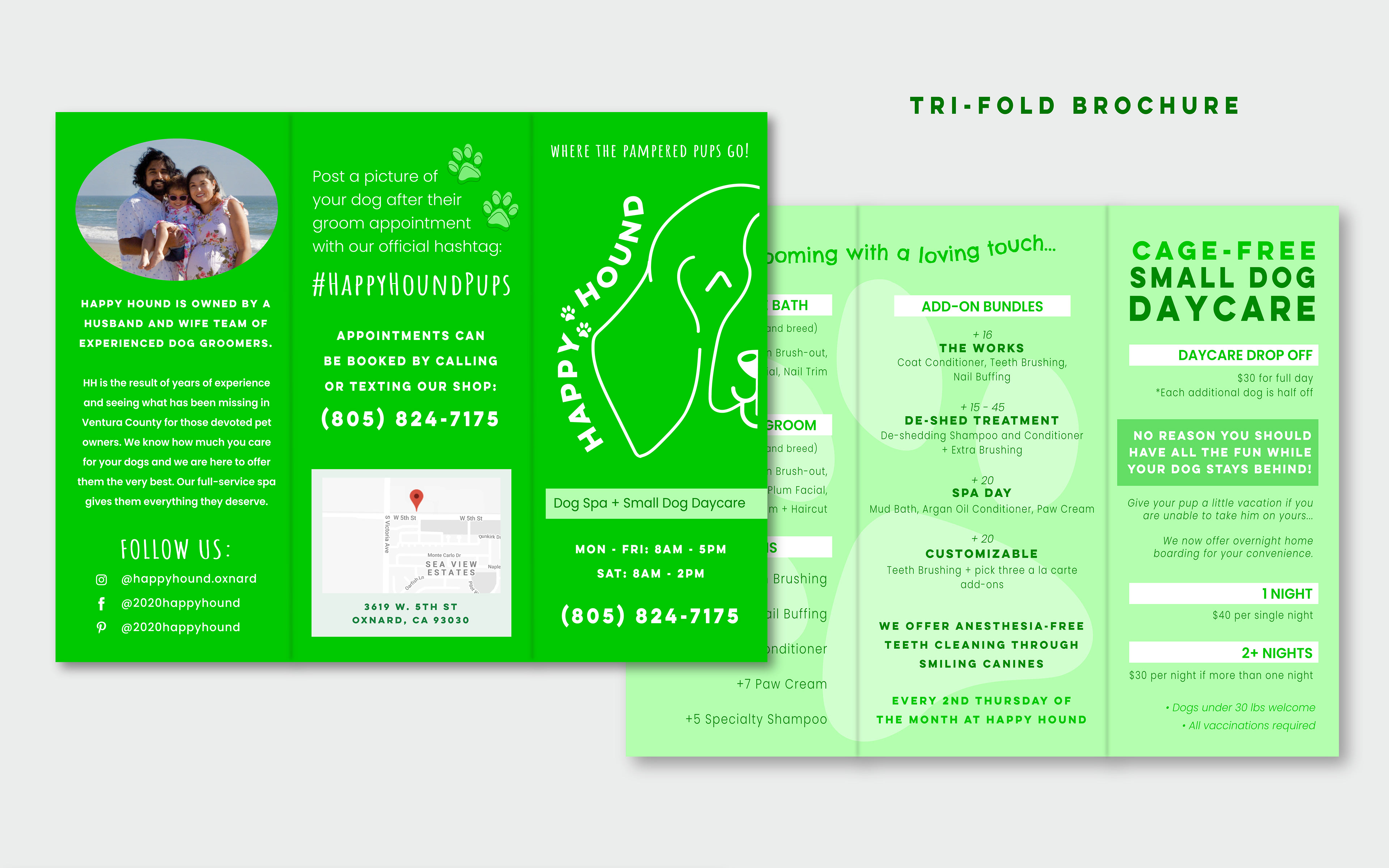 Vision Fetch - HH Print Collateral