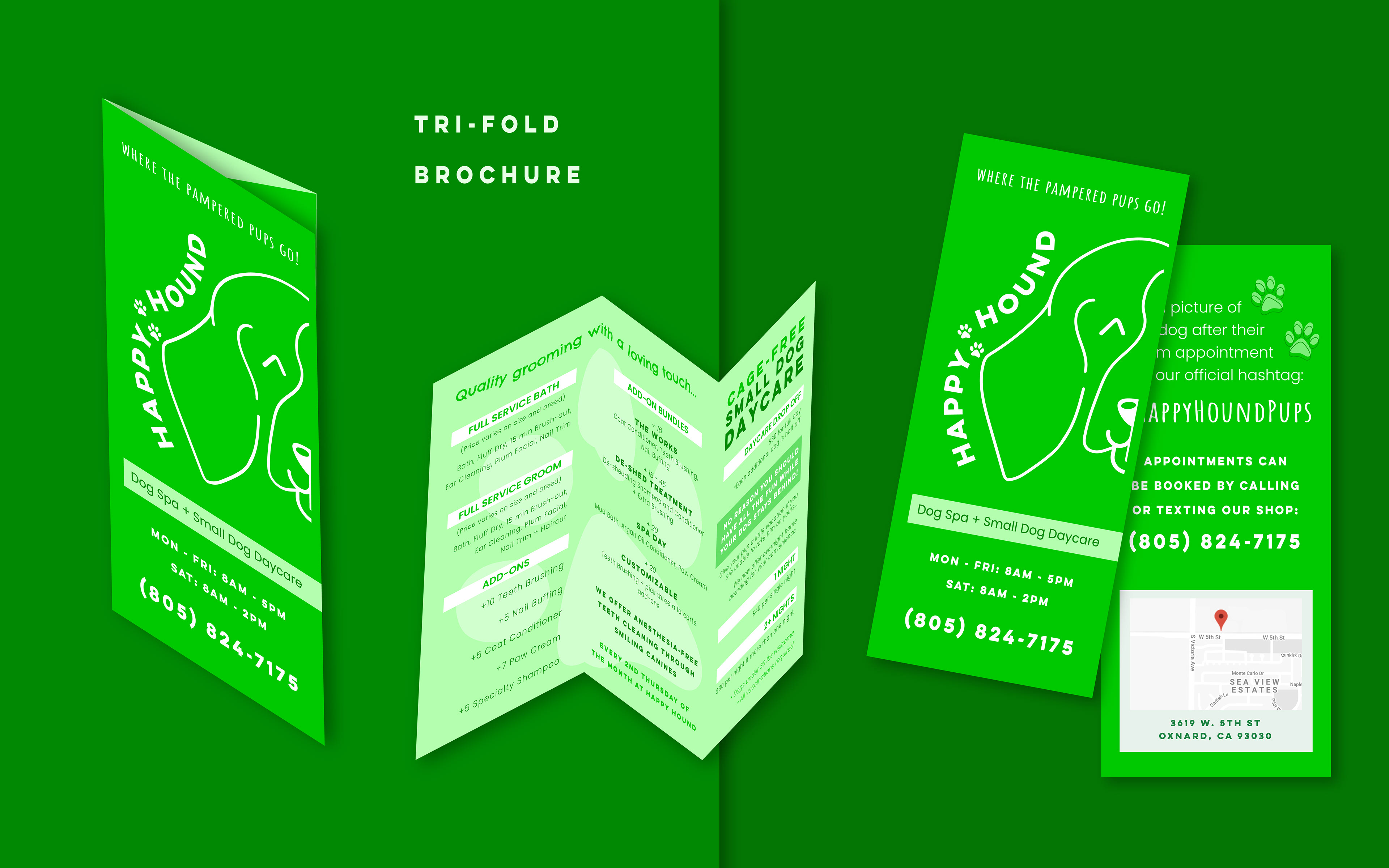 Vision Fetch - HH Print Collateral