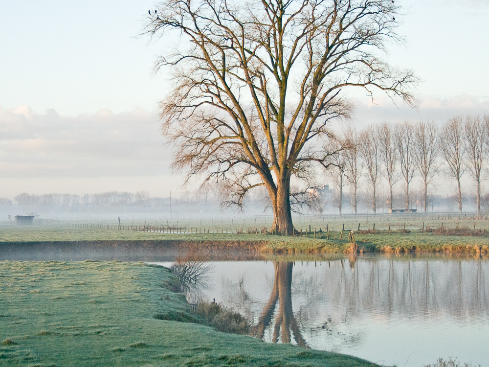 Simon Lievens Photography