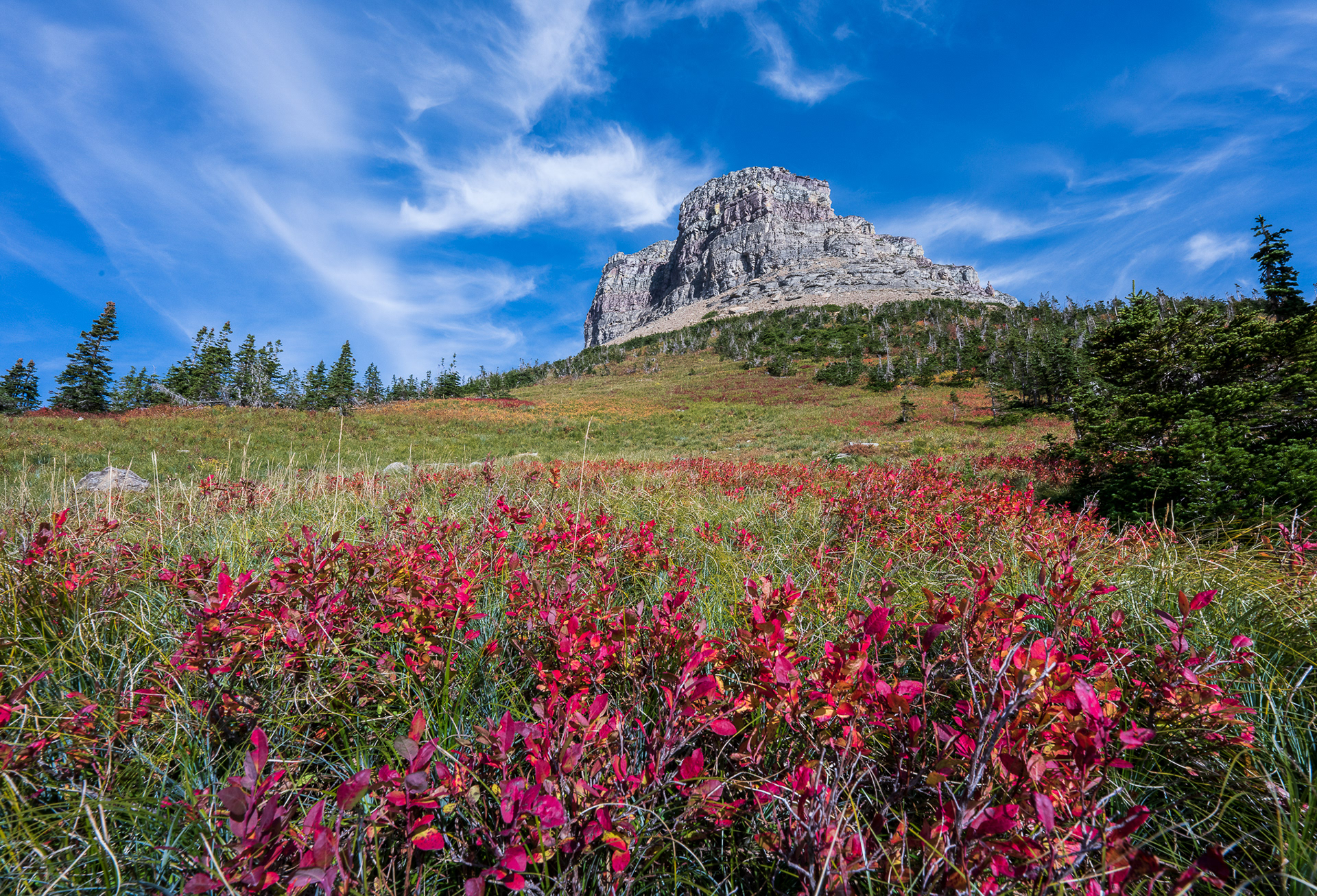 Steve Kendall - Glacier National Park