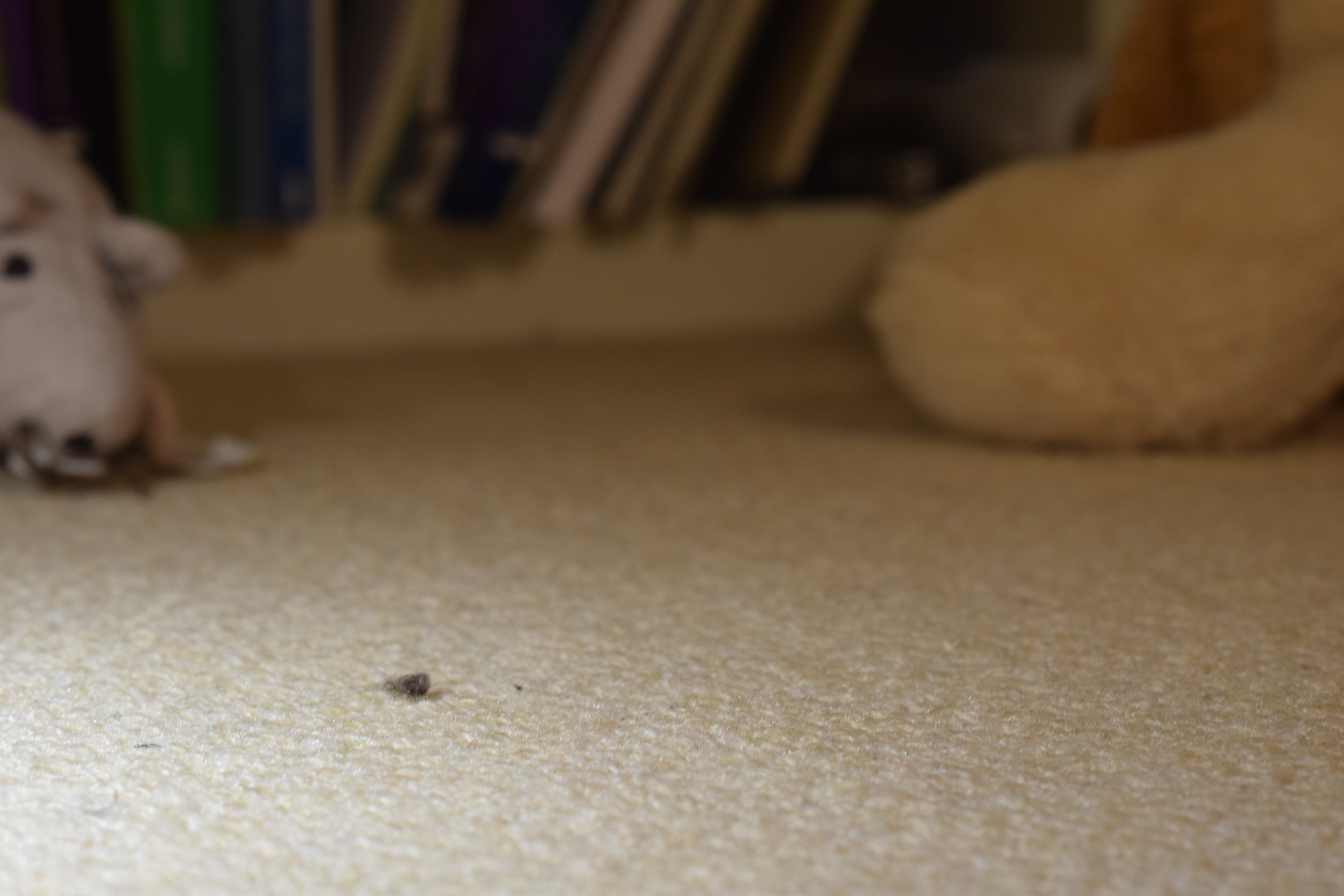 Toby Forge - _3 Driving past the uprising