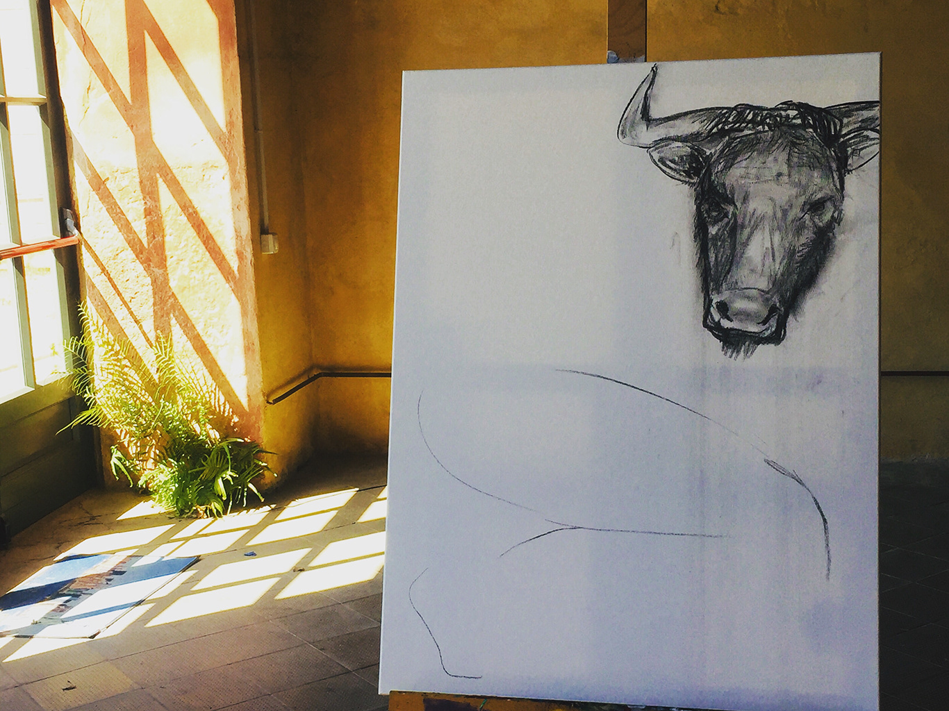 Silvana Castellucchio artist