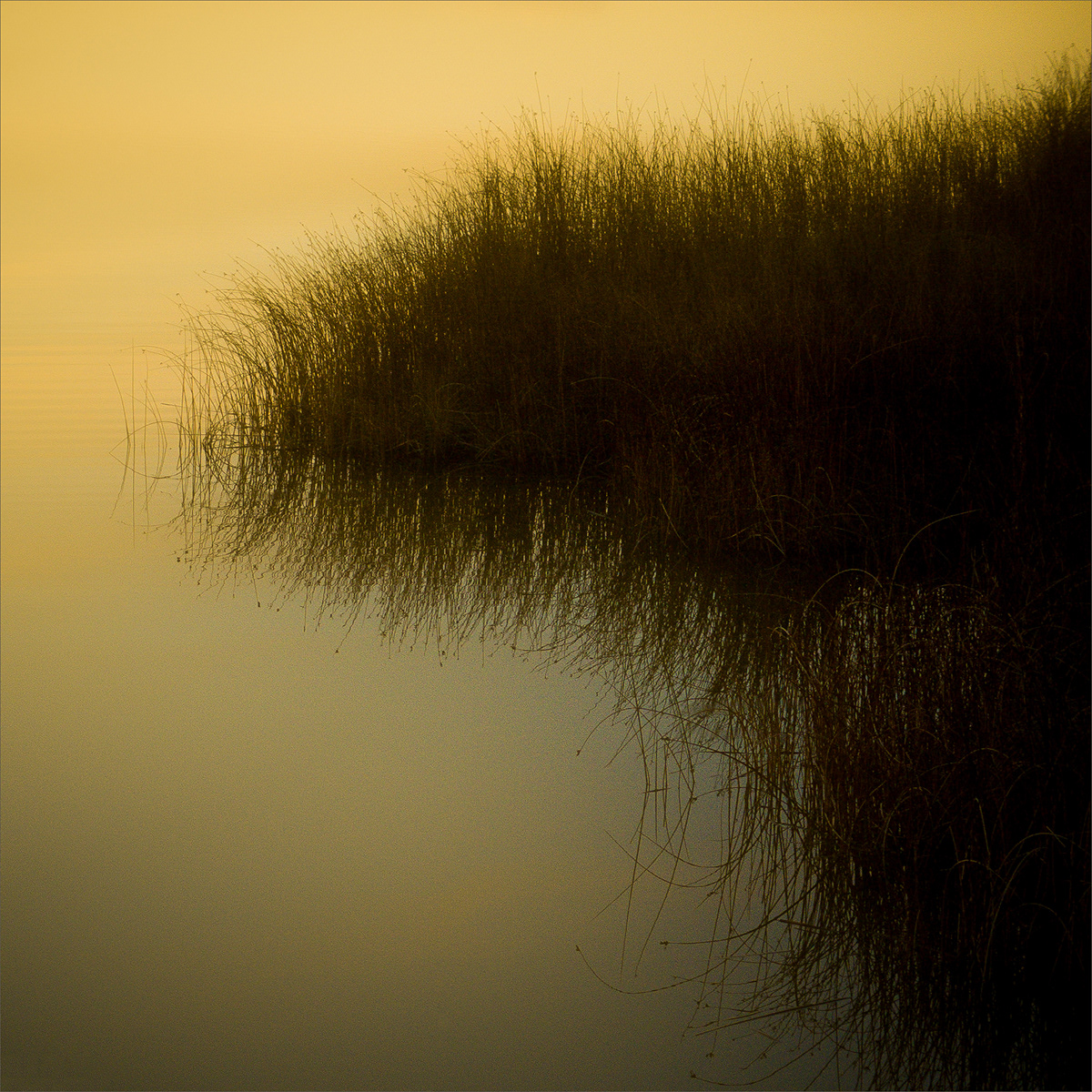 DAVID PERRY PHOTOGRAPHER - HAIKU