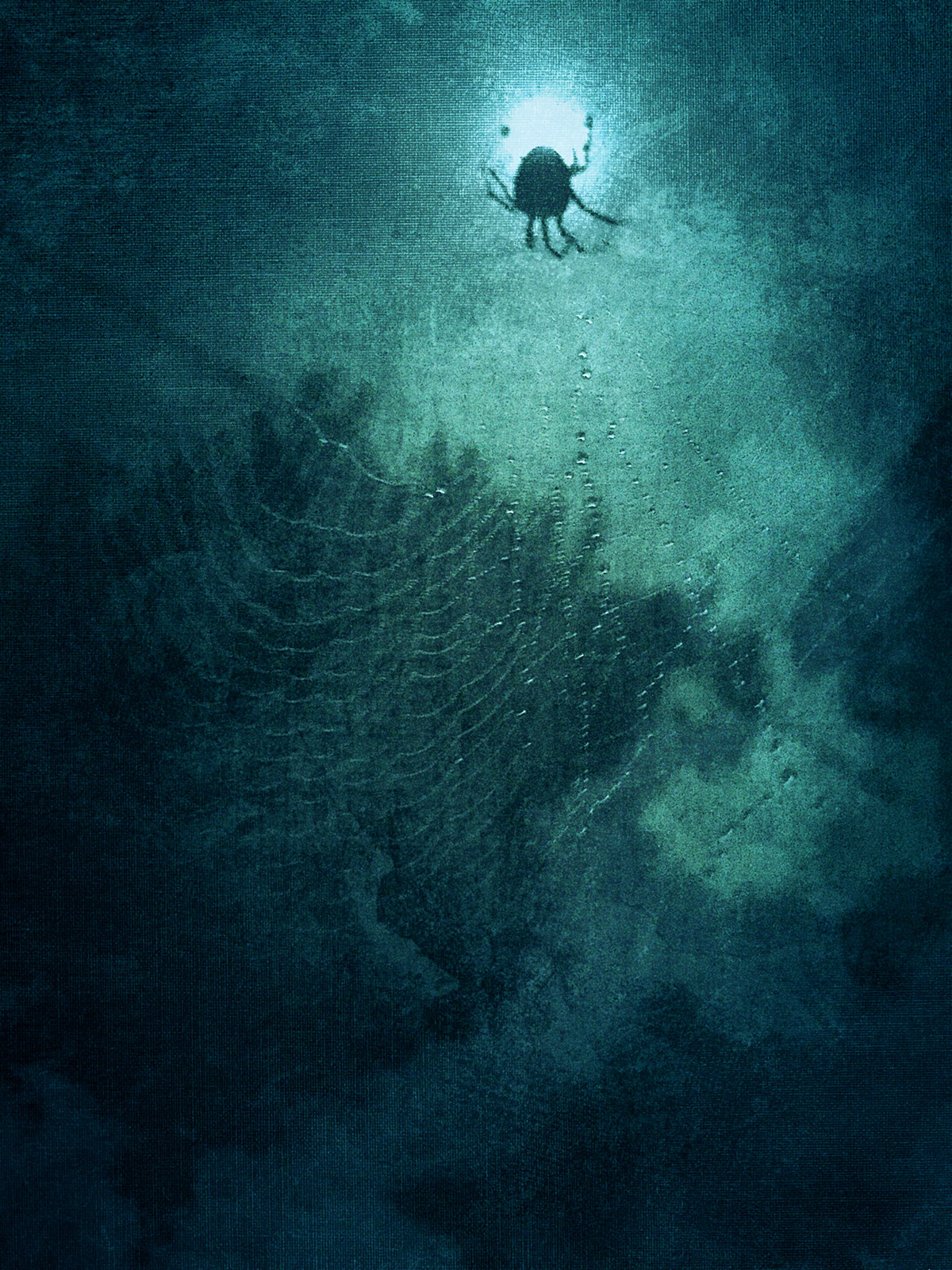 DAVID PERRY PHOTOGRAPHER - HAIKU