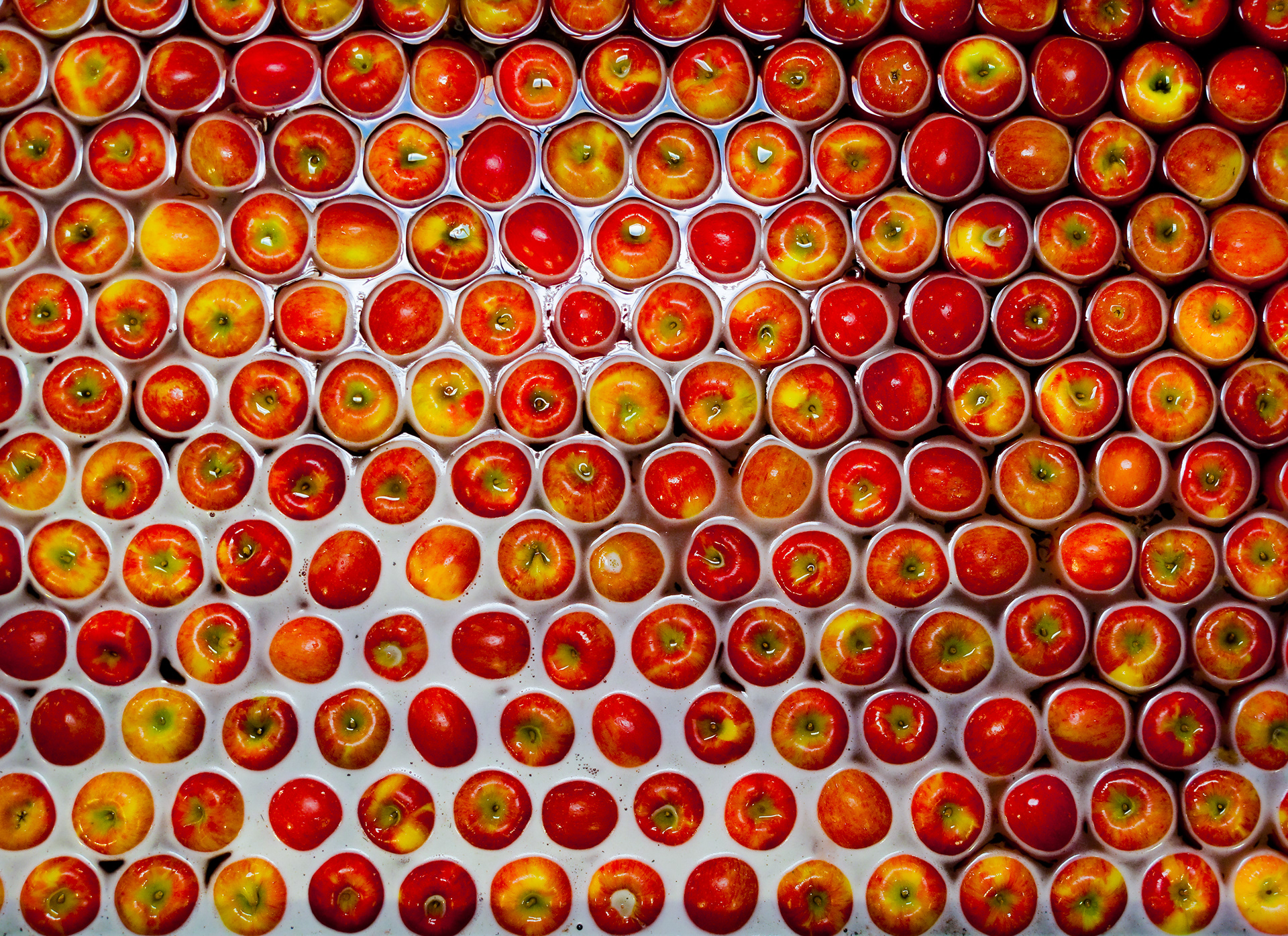 DAVID PERRY PHOTOGRAPHER - HAIKU