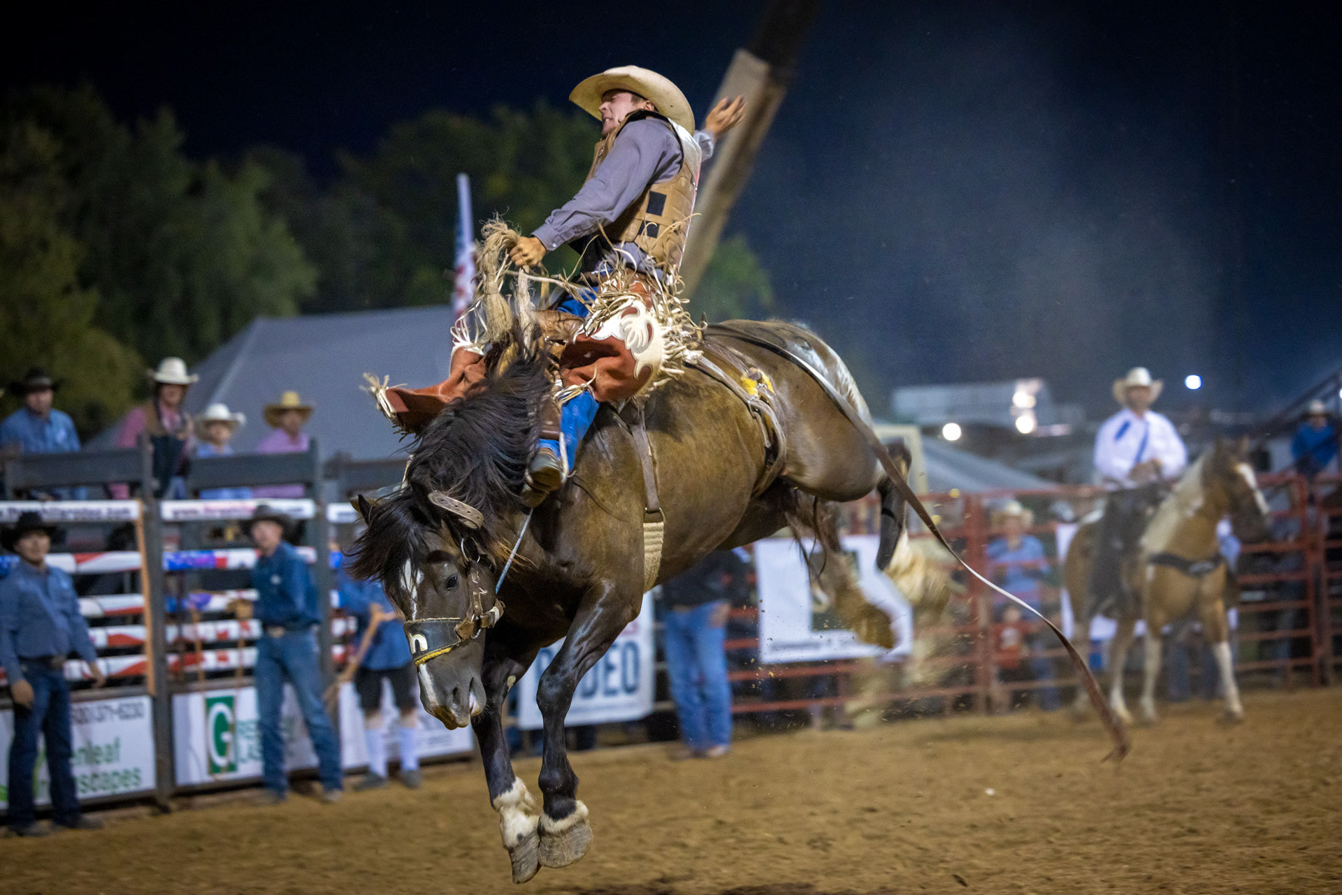 Linda Walker Photography