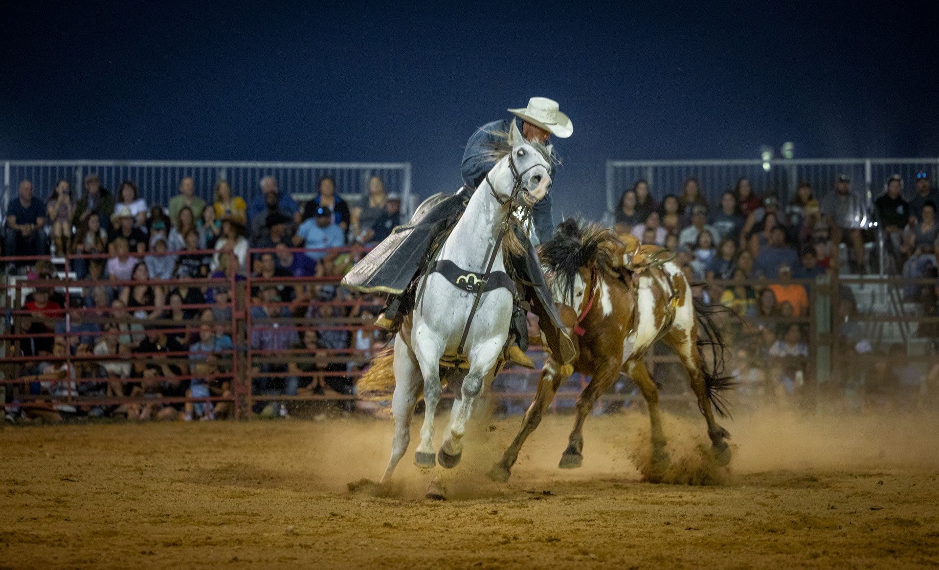 Linda Walker Photography - Sports
