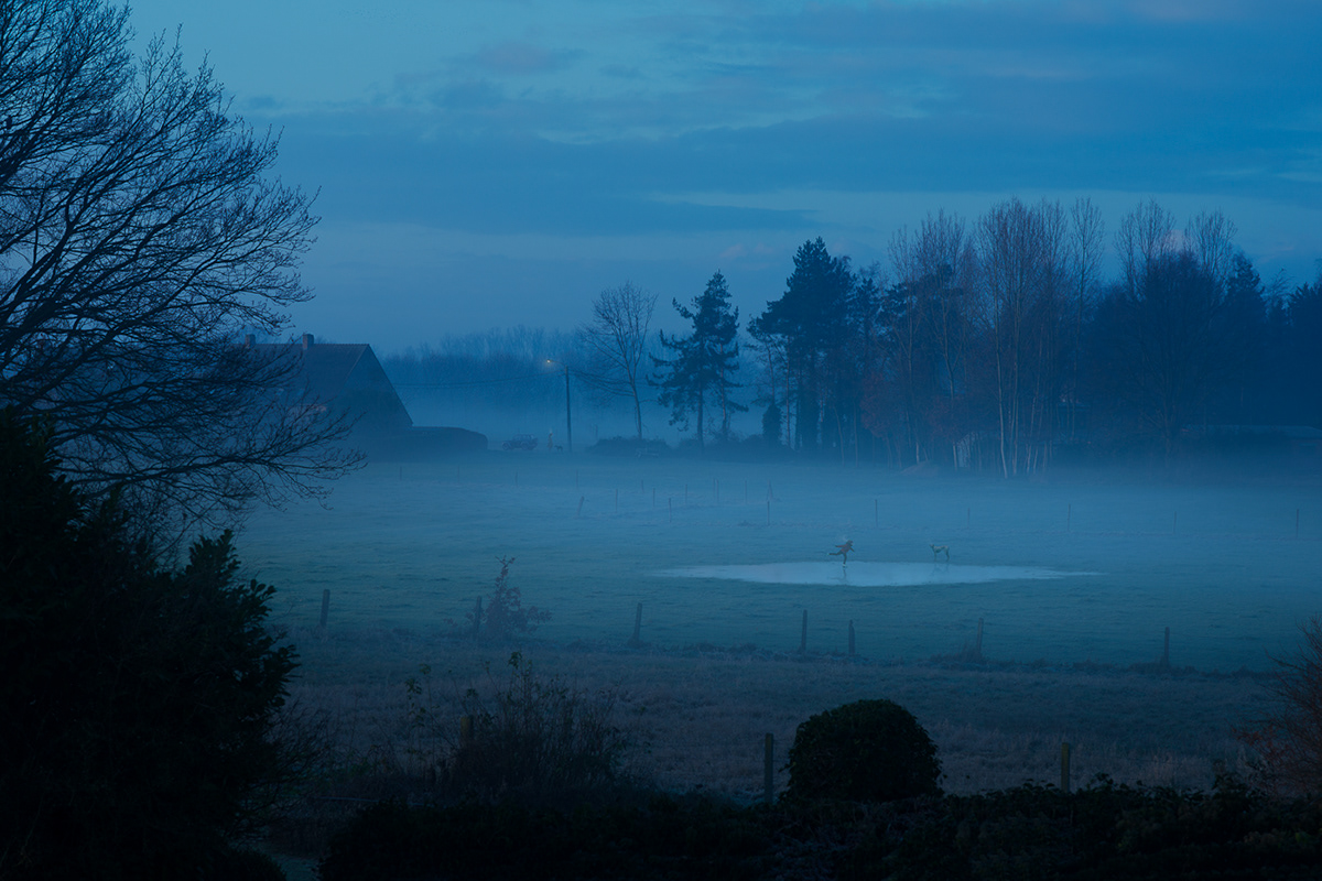 Jan Pypers Photographer - NIGHTGARDENERS (2017-2020)