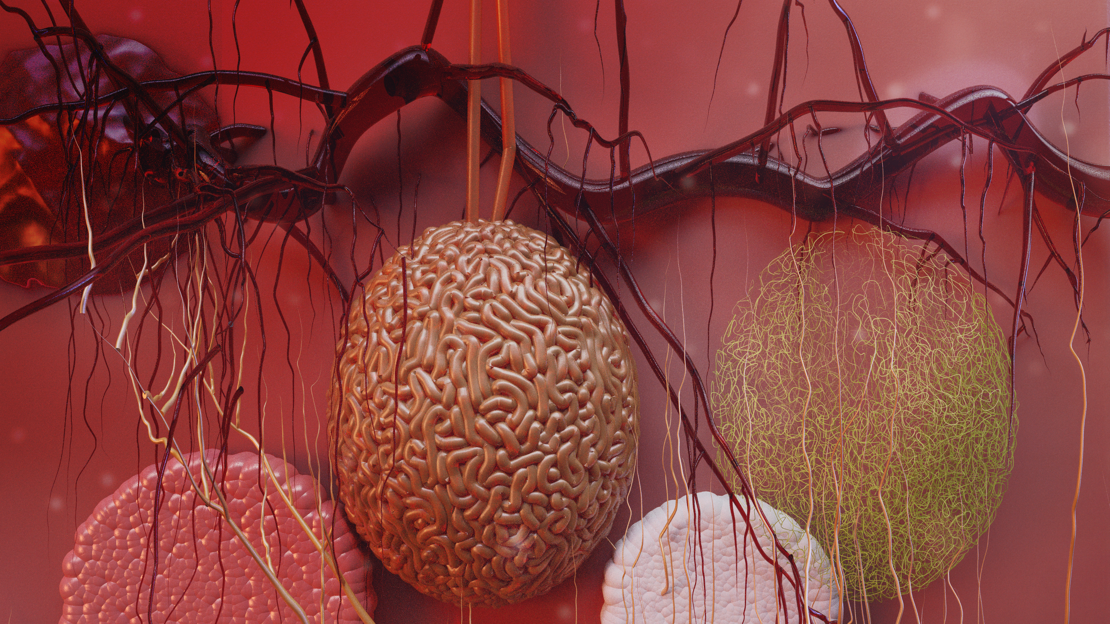 Leonie Bradbury - Vessels