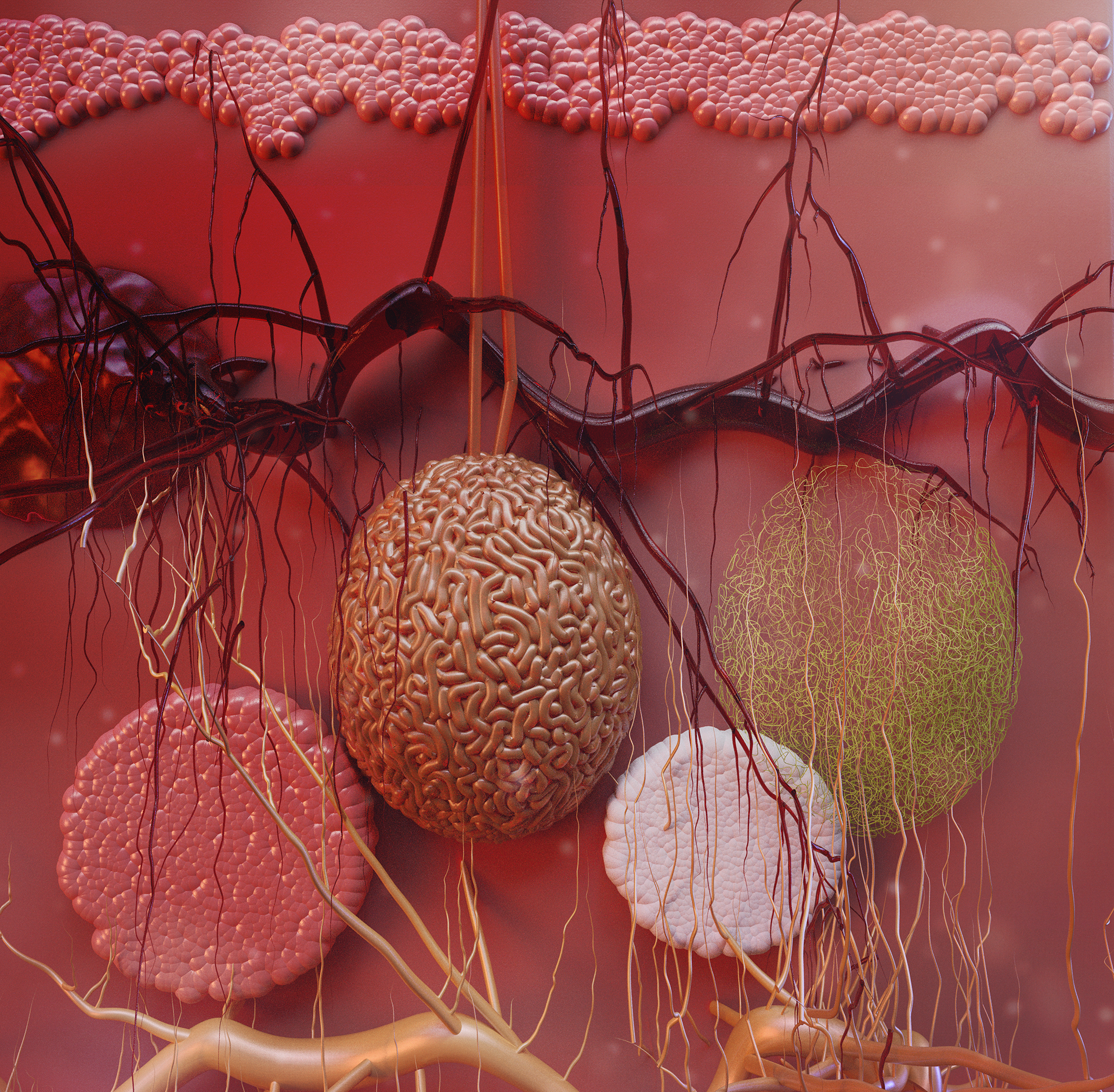 Leonie Bradbury - Vessels