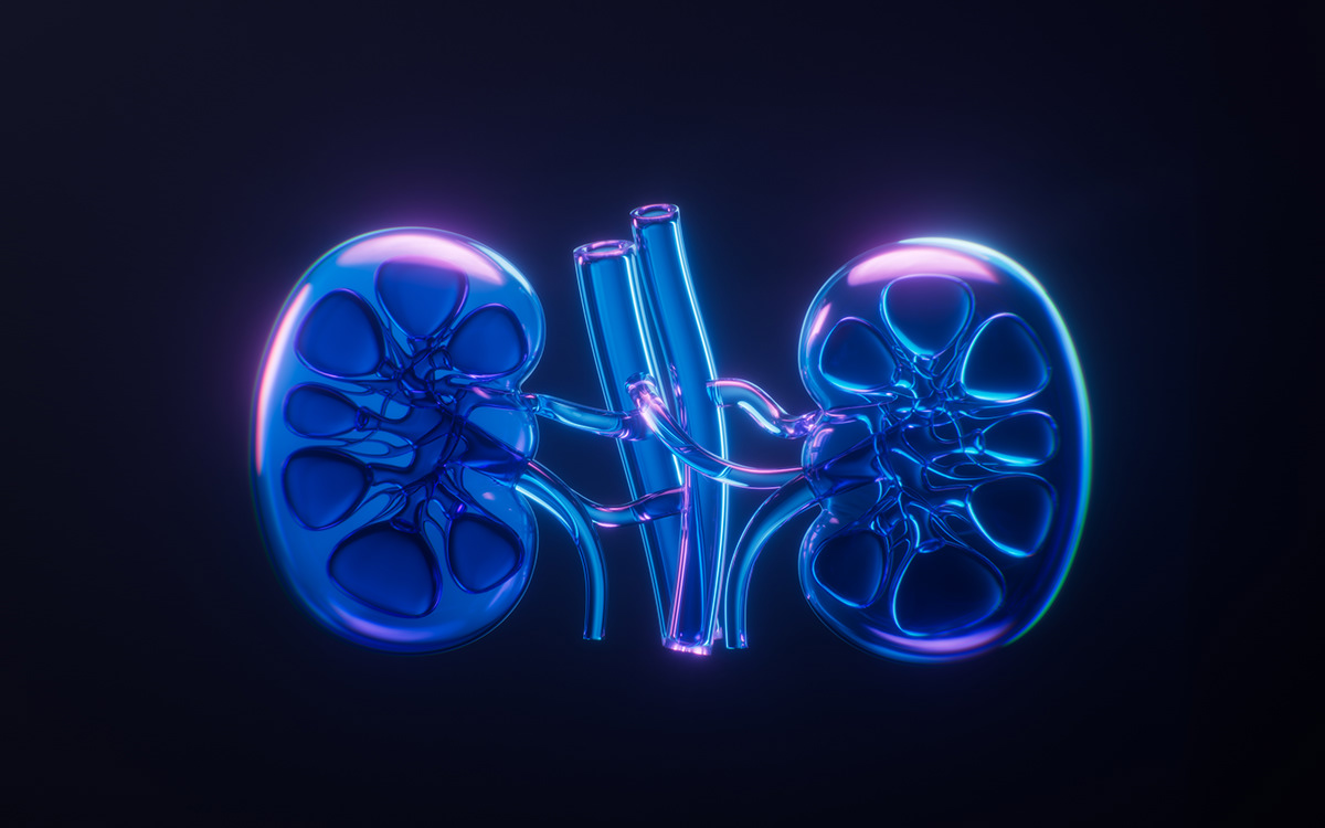 Vink Fan - Biology Organs and Neon