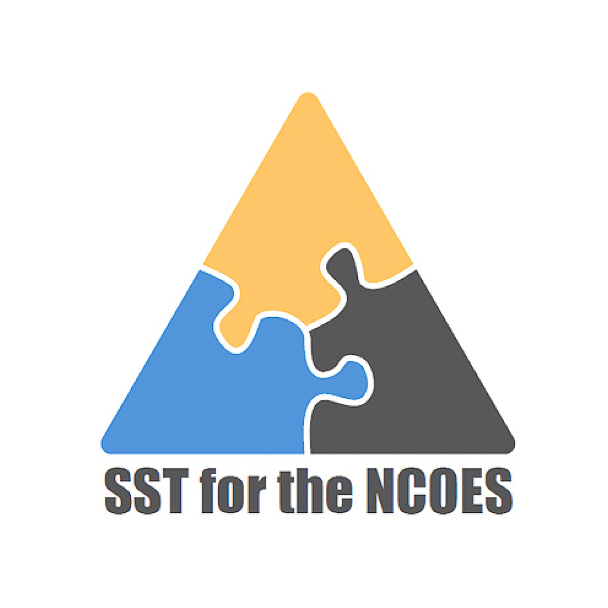 Cognitive Performance Group - NCOES