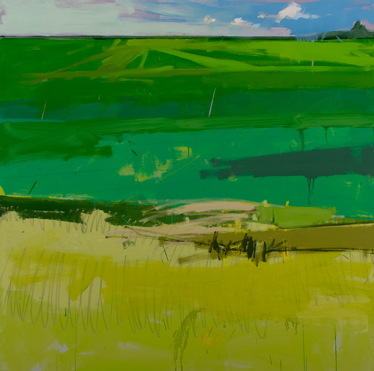 Drew Klassen - recent landscapes
