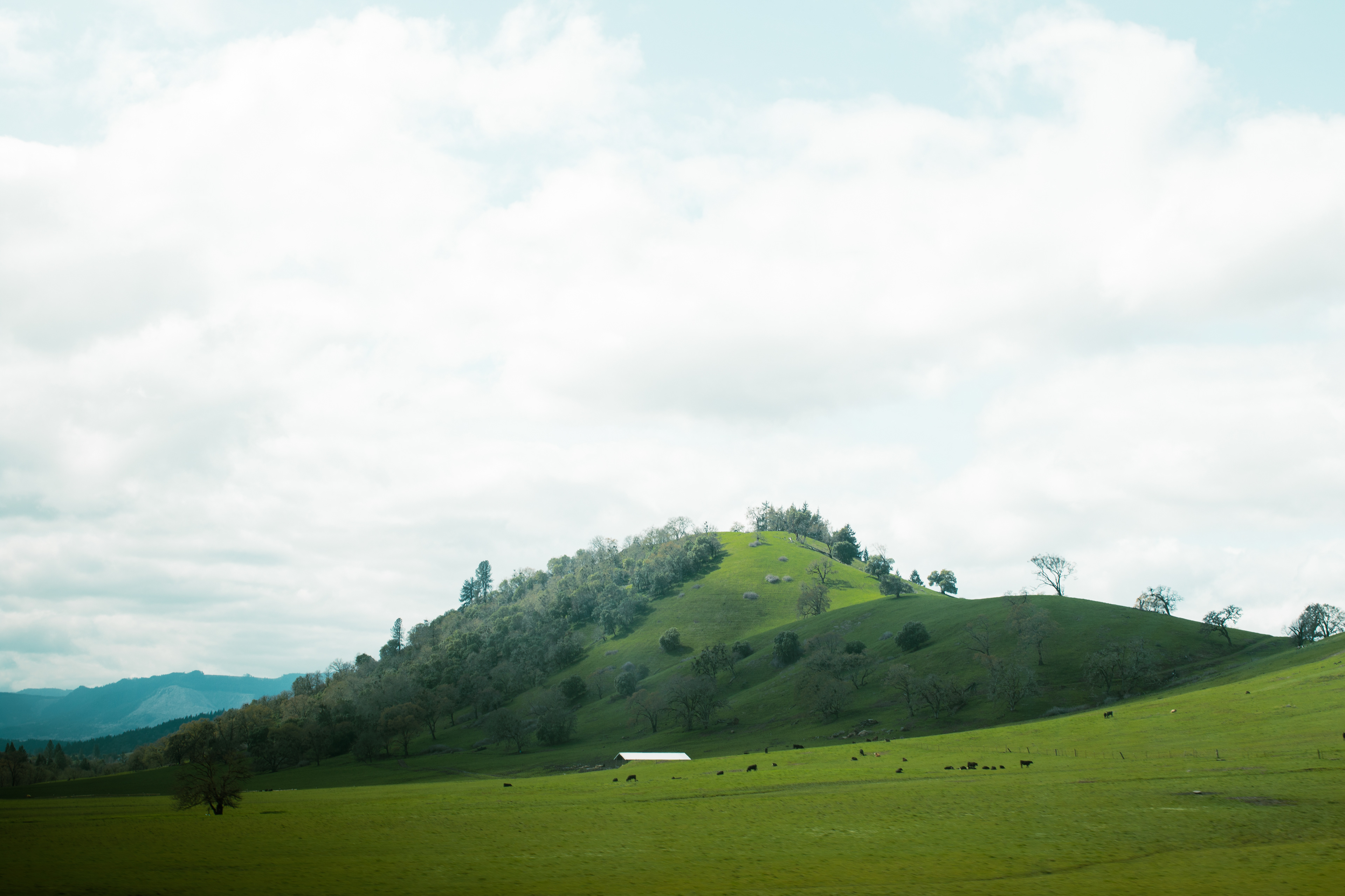 James Lee Wilson Portfolio - Pacific Northwest