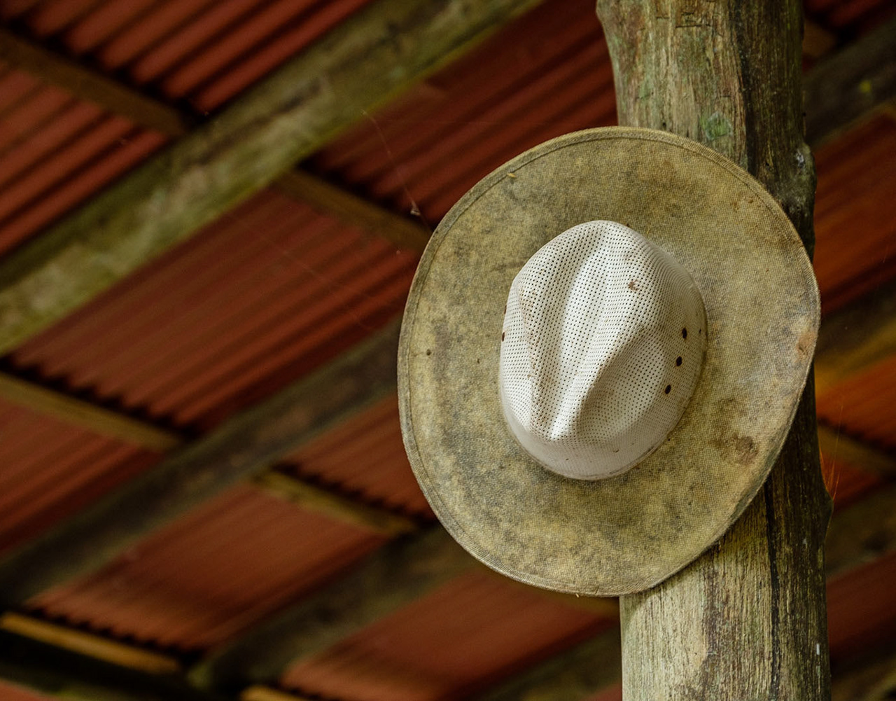 Christopher Clements - Photography