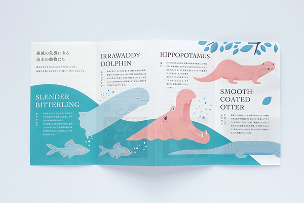 tegusu - WWF / chart project