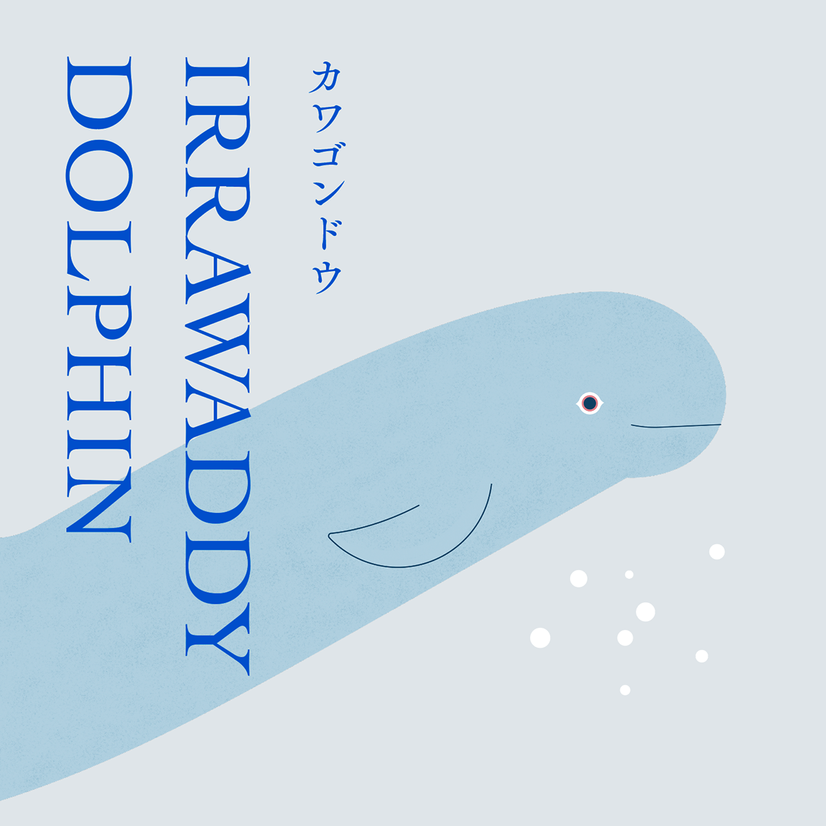 tegusu - WWF / chart project