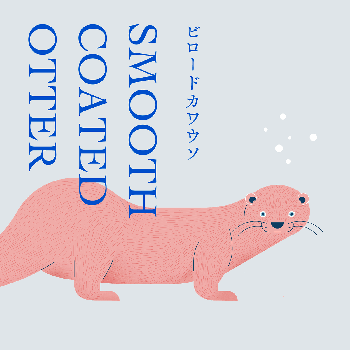 tegusu - WWF / chart project