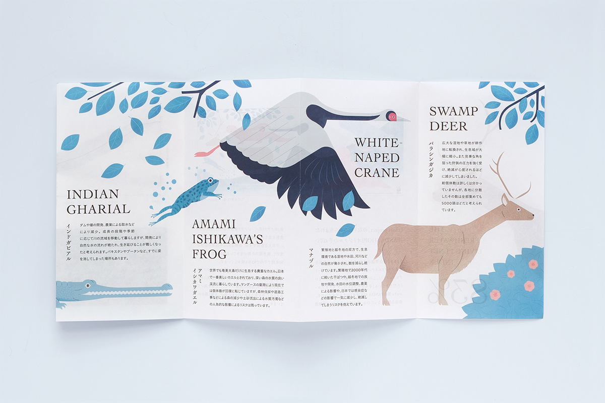 tegusu - WWF / chart project