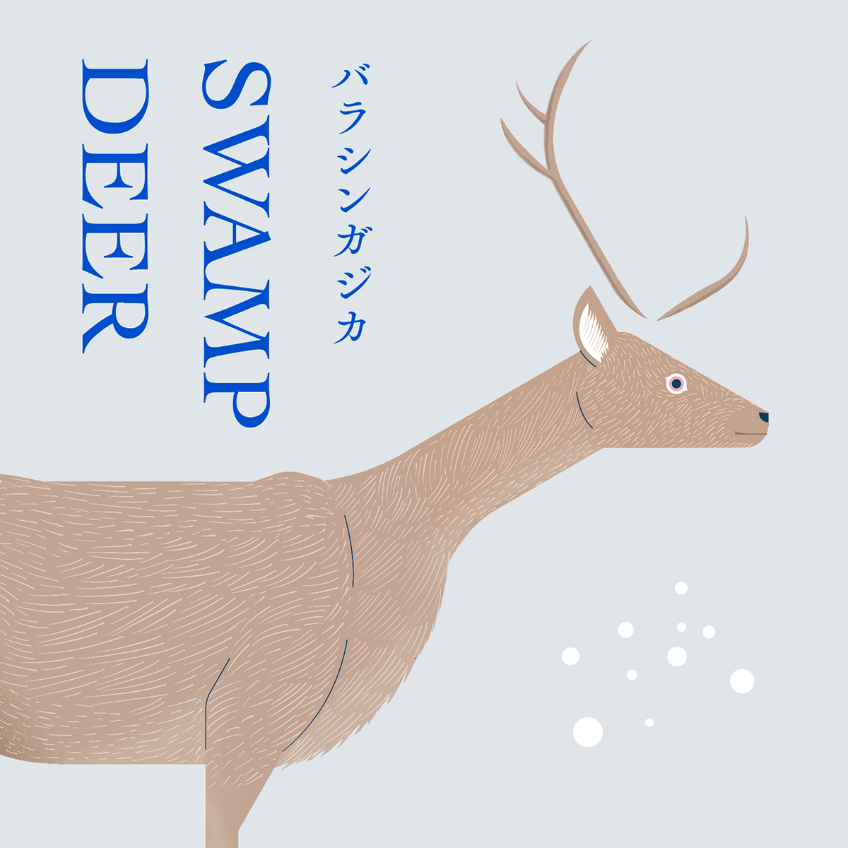 tegusu - WWF / chart project