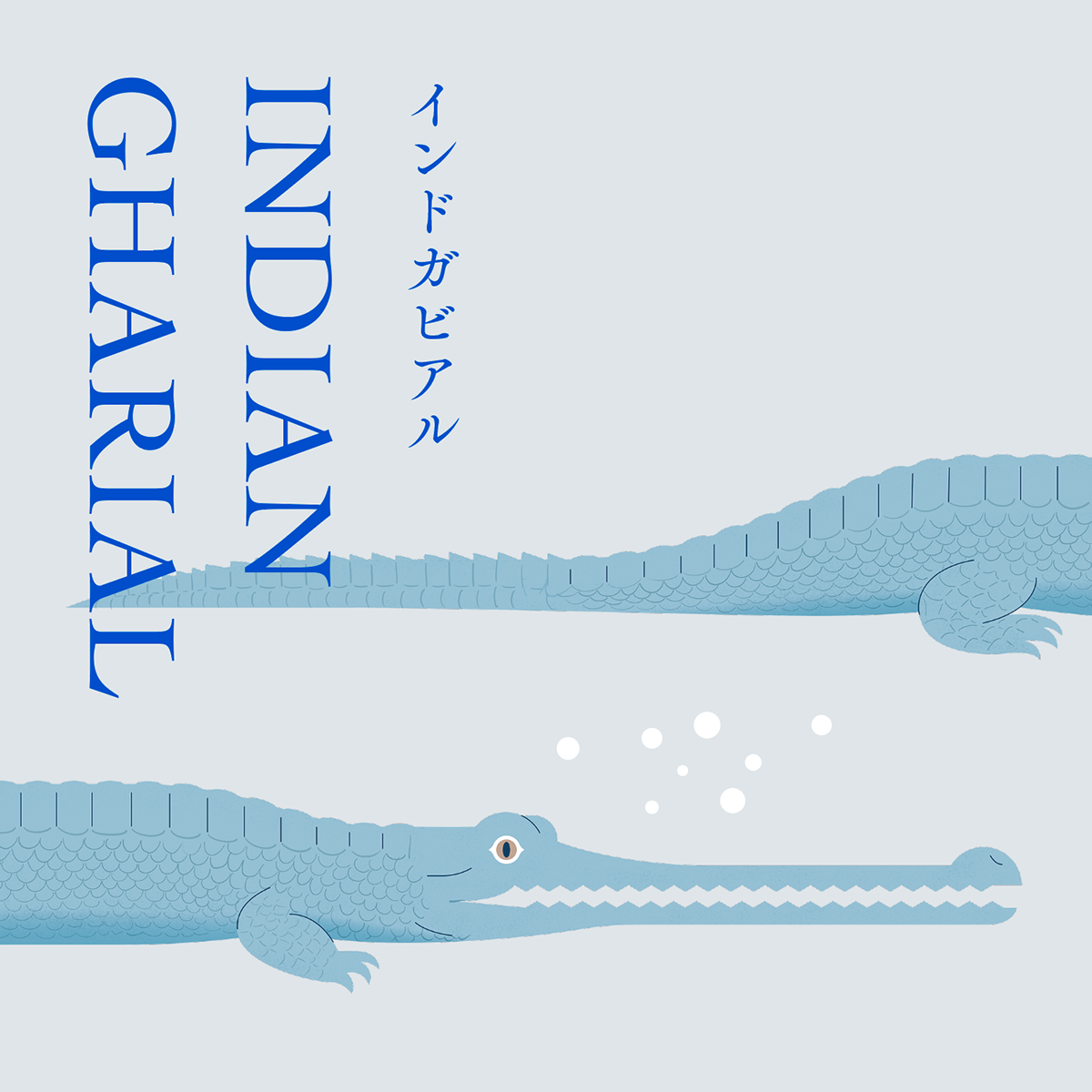 tegusu - WWF / chart project